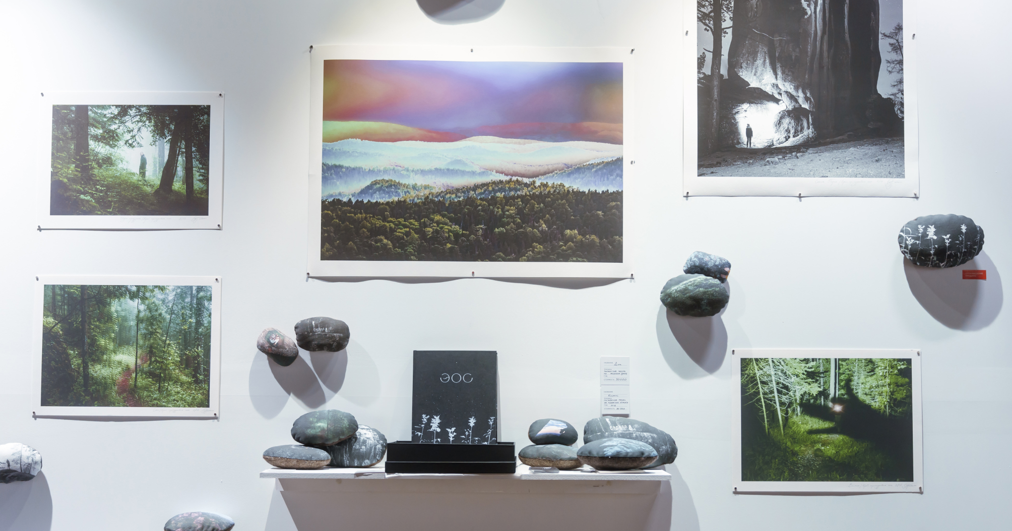 Назвали участников сибирской ярмарки современного искусства Scan Fair ...